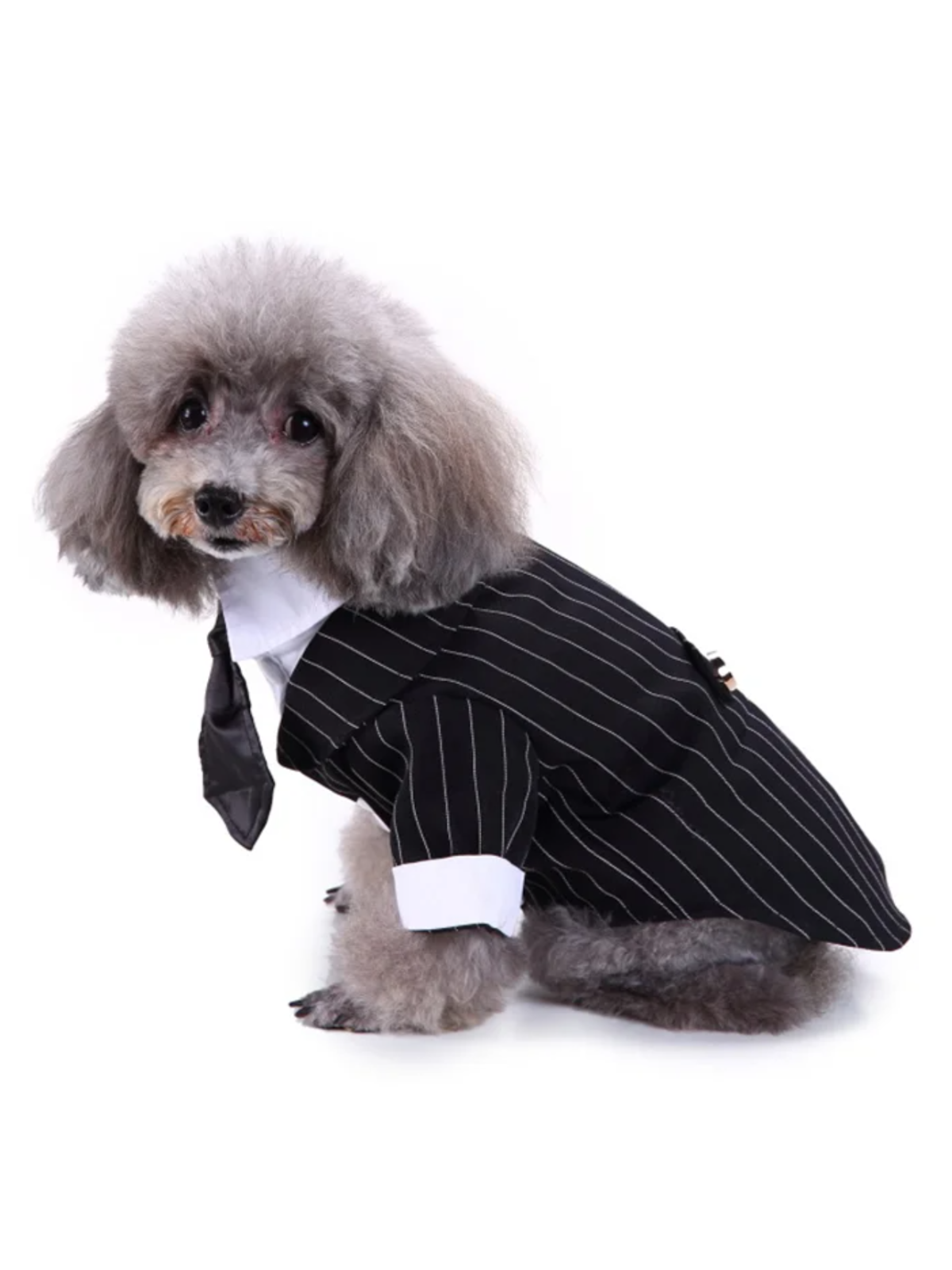 Striped Dog Tuxedo Bow Tie Gentleman Halloween Costume – Mia Belle Girls